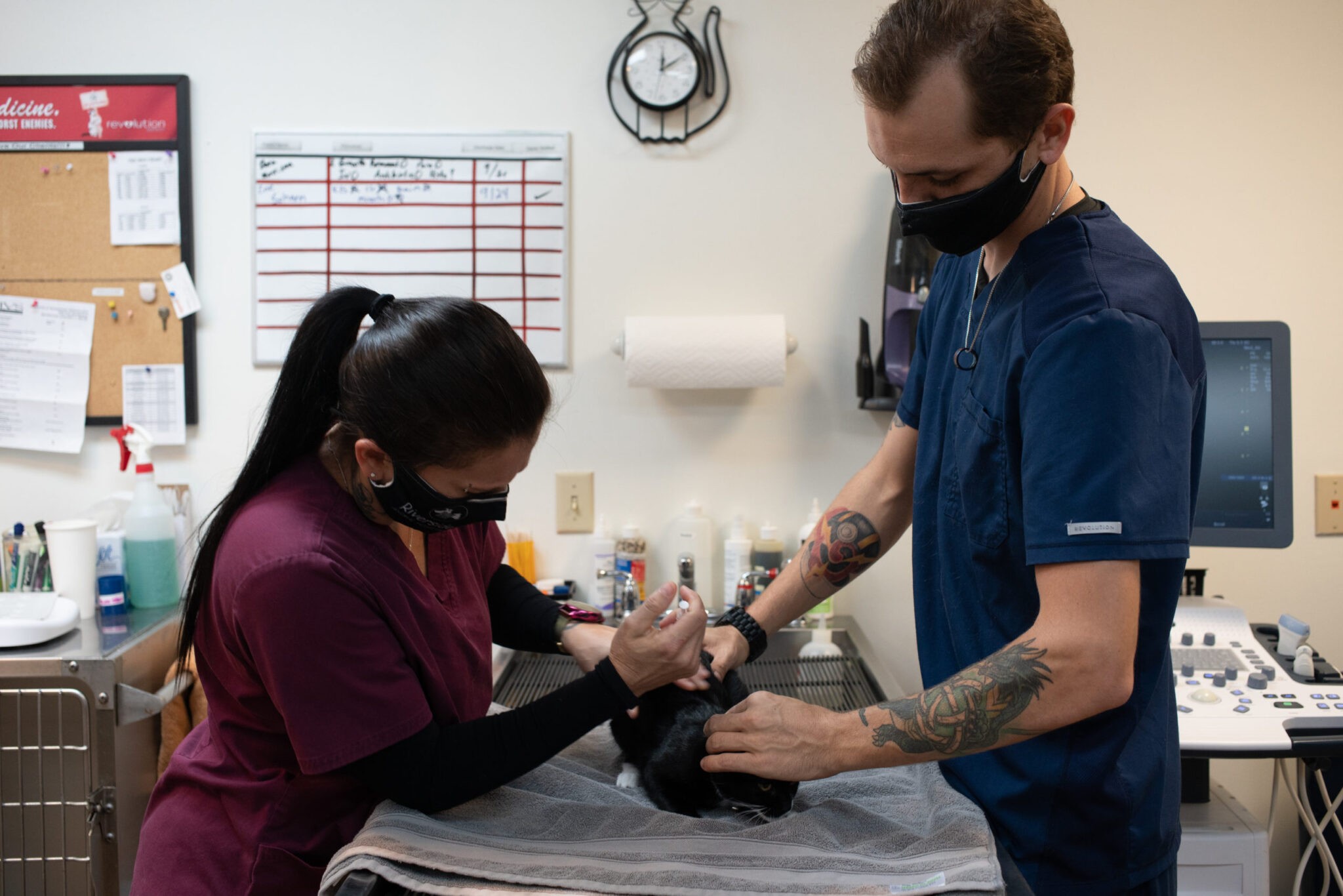 Meet the Staff | Riverside Animal Hospital | Veterinary Care