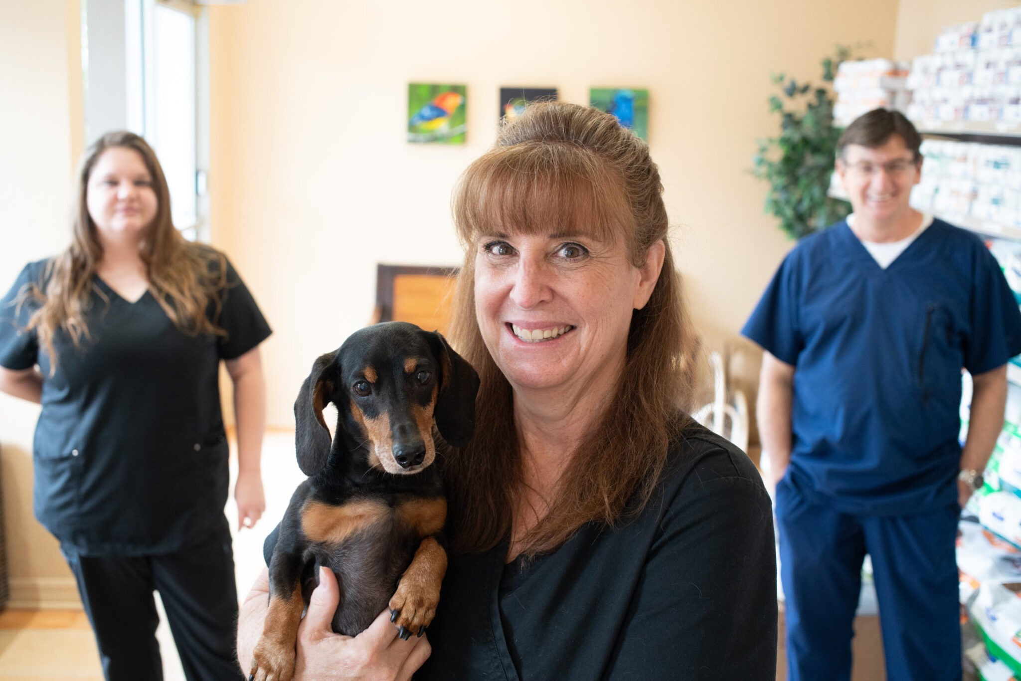 Meet the Staff | Riverside Animal Hospital | Veterinary Care